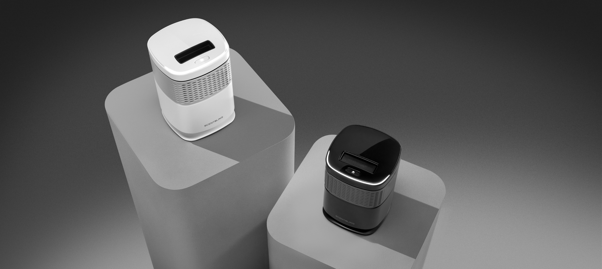 Home Page - Scentlinq