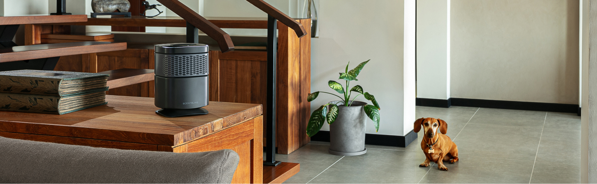 Home Page - Scentlinq